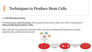 Stem cells Types .pptx