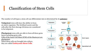 Stem cells Types .pptx
