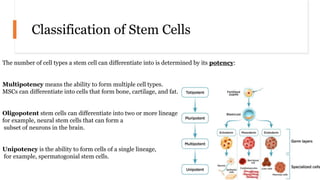 Stem cells Types .pptx