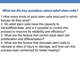 Stem cells | PPTX