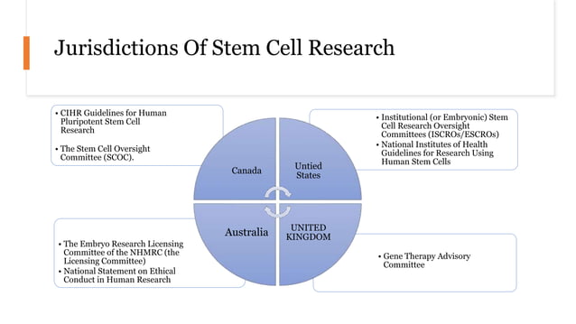 Stem Cell Ethics .pptx