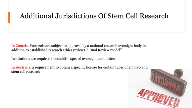 Stem Cell Ethics .pptx