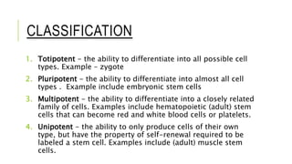Stem cells technology and applications | PPTX