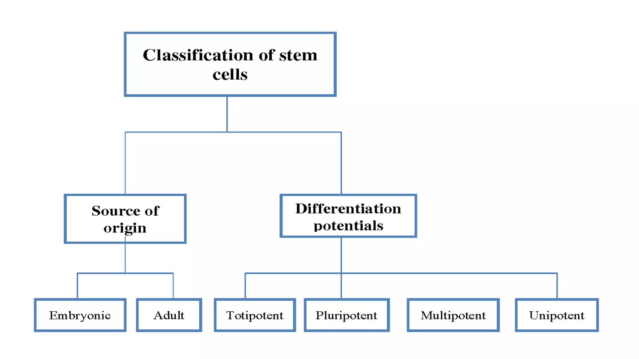 Stem cells & its application | PPTX