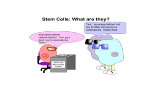 Stem cells & its application | PPTX