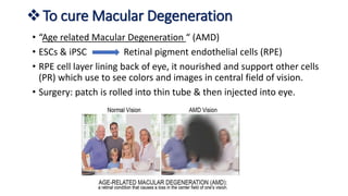 Stem cells & its application | PPTX