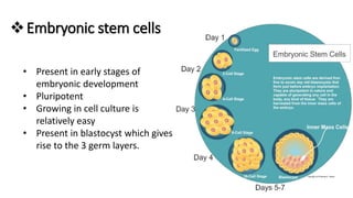 Stem cells & its application | PPTX