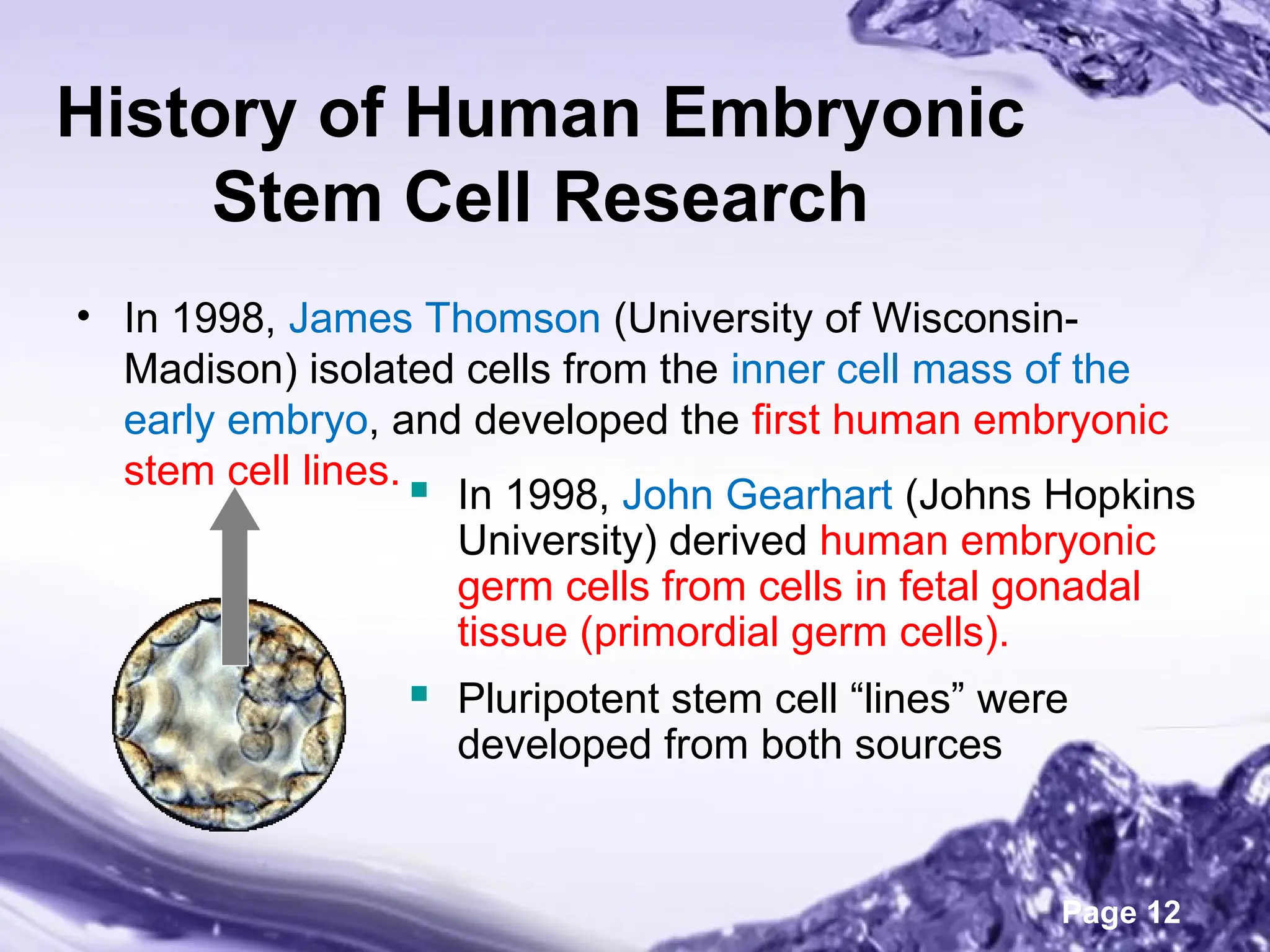 Stem Cells Therapy in the human for education | PPT