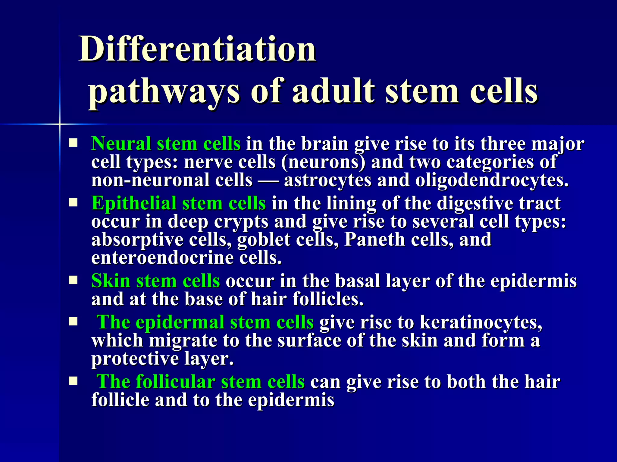 Stem Cell Technology | PPT