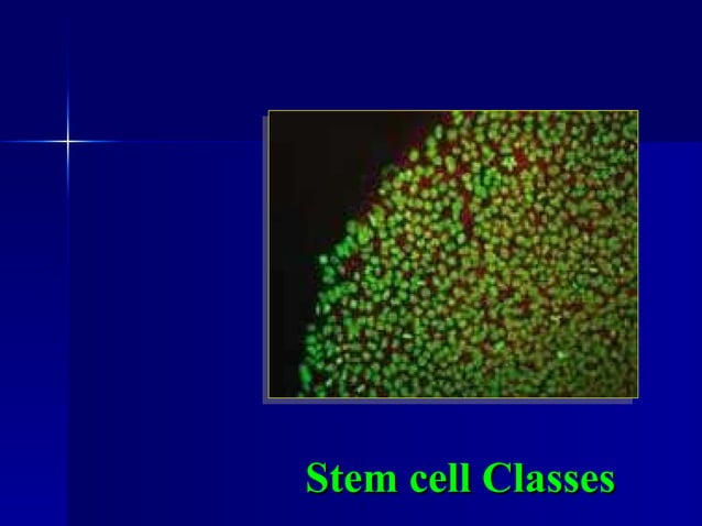 Stem Cell Technology | PPT