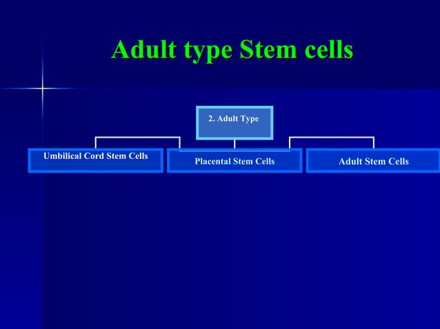 Stem Cell Technology | PPT
