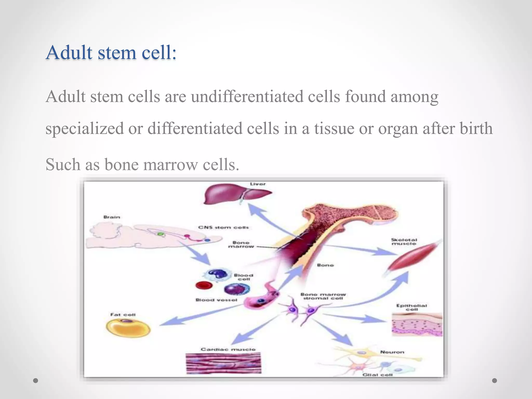 Stem cell technology | PPTX