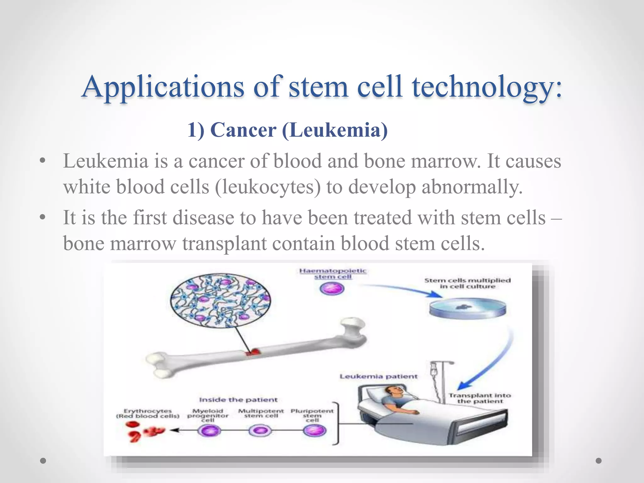 Stem cell technology | PPTX