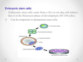 Stem cell technology | PPTX