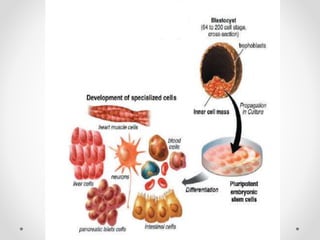 Stem cell technology | PPTX