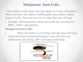 Stem cell technology | PPTX