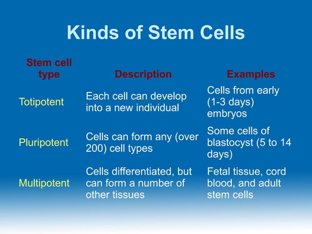 Stem cell technology | PPT