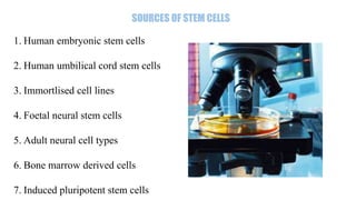 Stem cell technology | PPT