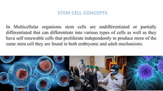 Stem cell technology | PPT