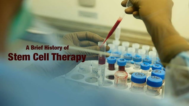 Stem cell technology | PPT