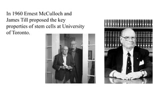 Stem cell technology | PPT