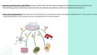 Stem Cell Technology Pdf