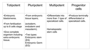 Stem cell technology in reproduction | PPTX