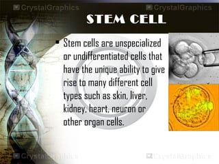 Stem cell therapy | POT