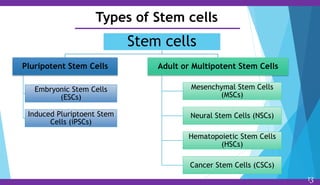 Stem cell therapy | PPTX