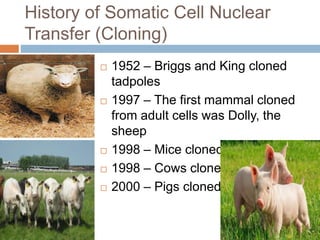 Stem cell therapy | PPTX