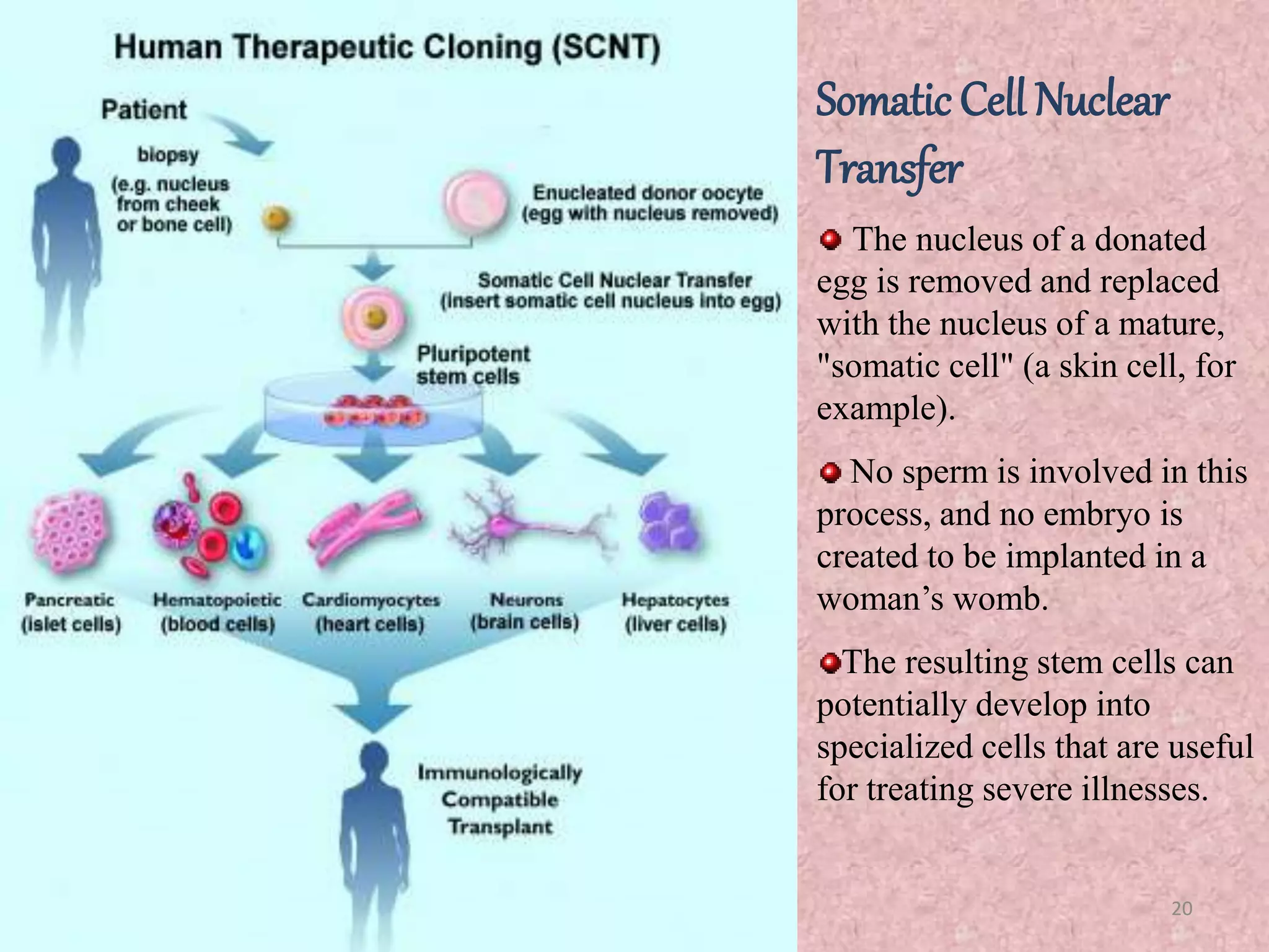 Stem cell therapy by kk sahu | PPTX