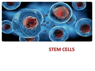Stem cell therapy | PPT