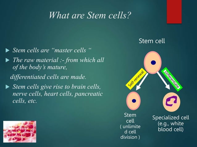 Stem cell therapy | PPTX