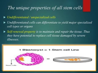 Stem cell therapy | PPTX