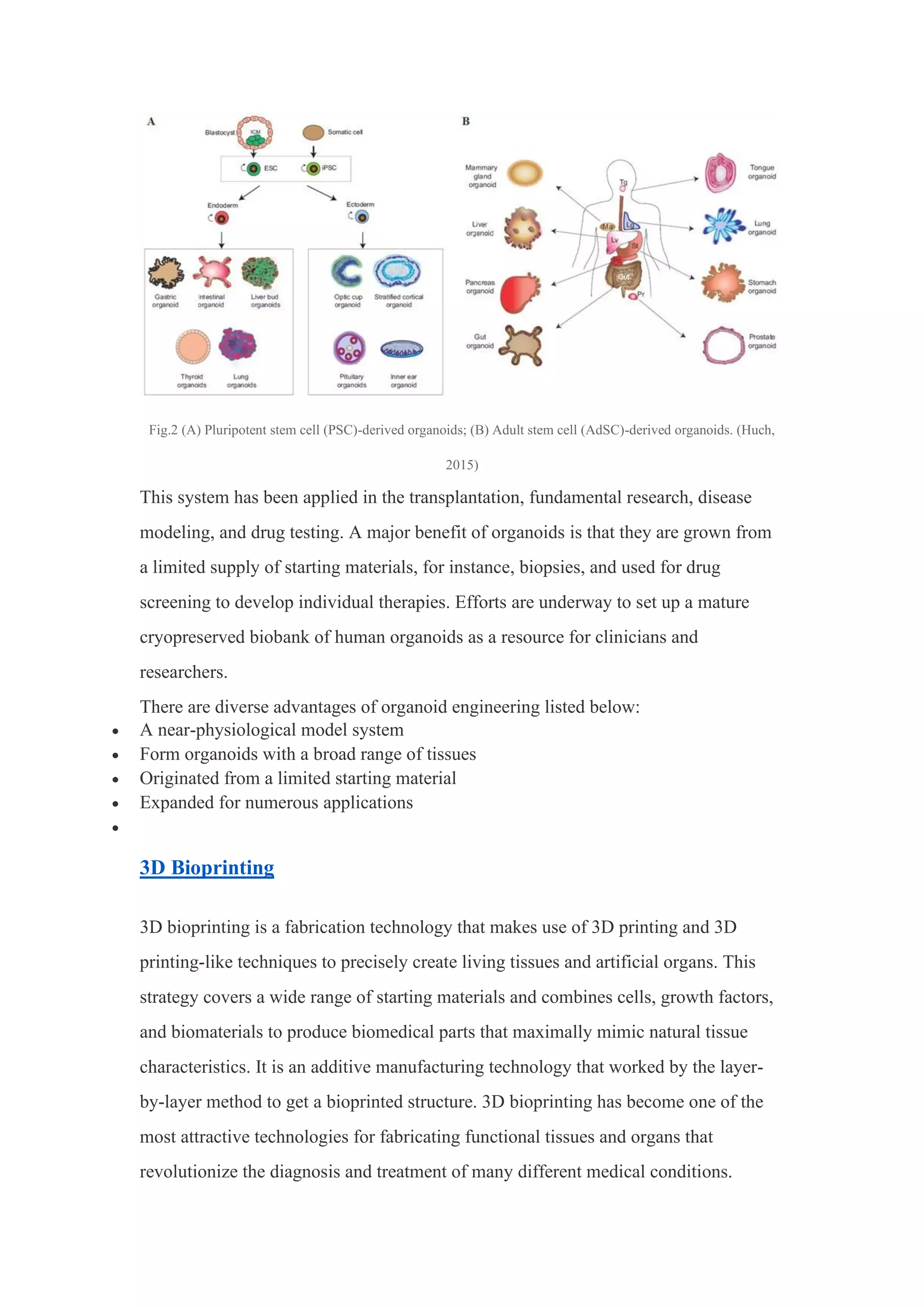 Stem cell therapy and organoid and 3D bioprinting | PDF