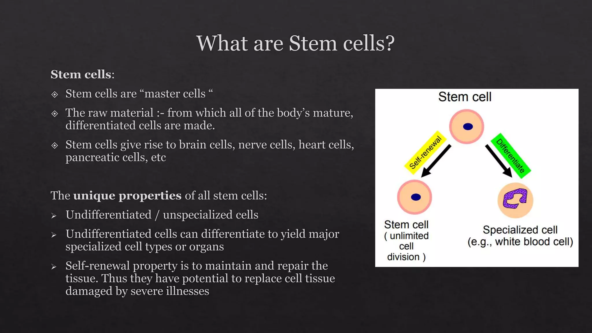 Stem cell therapy | PPT