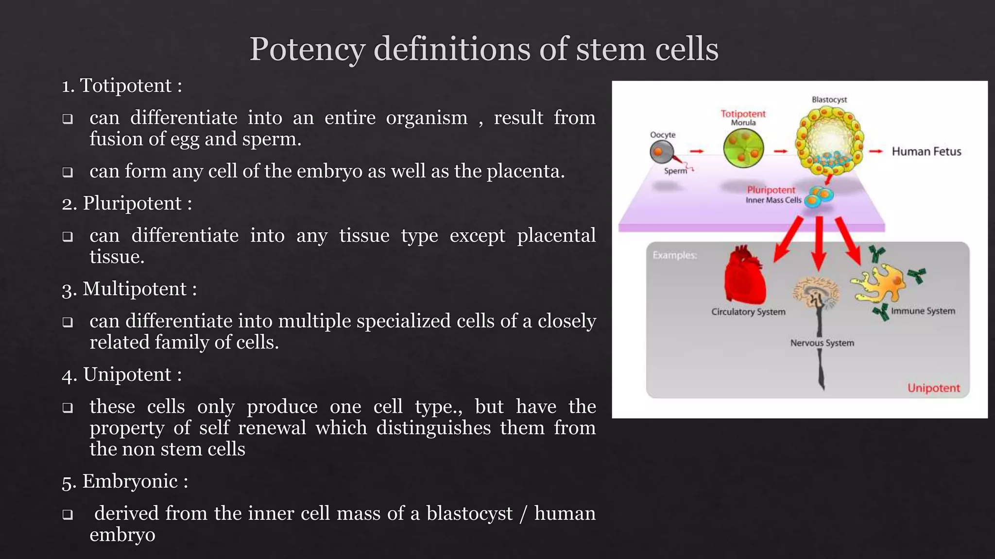Stem cell therapy | PPT