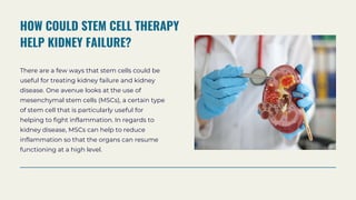 Stem cell Therapy For Kidney Failure & Disease Dr David Greene .pptx