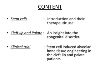 Stem cell therapy in cleft lip and palate | PPTX