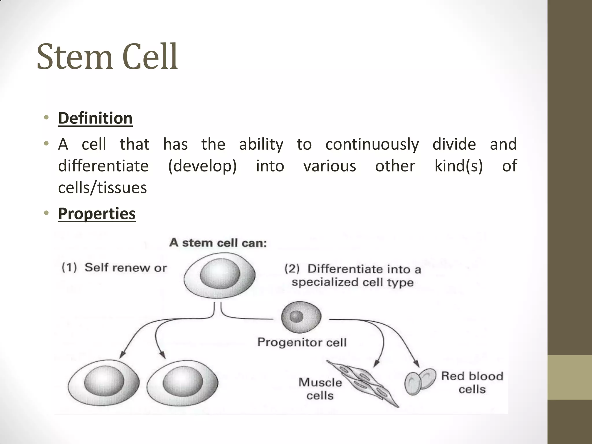 Stemcell therapy Pharmacology | PDF