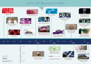 Stem cell timeline | PDF