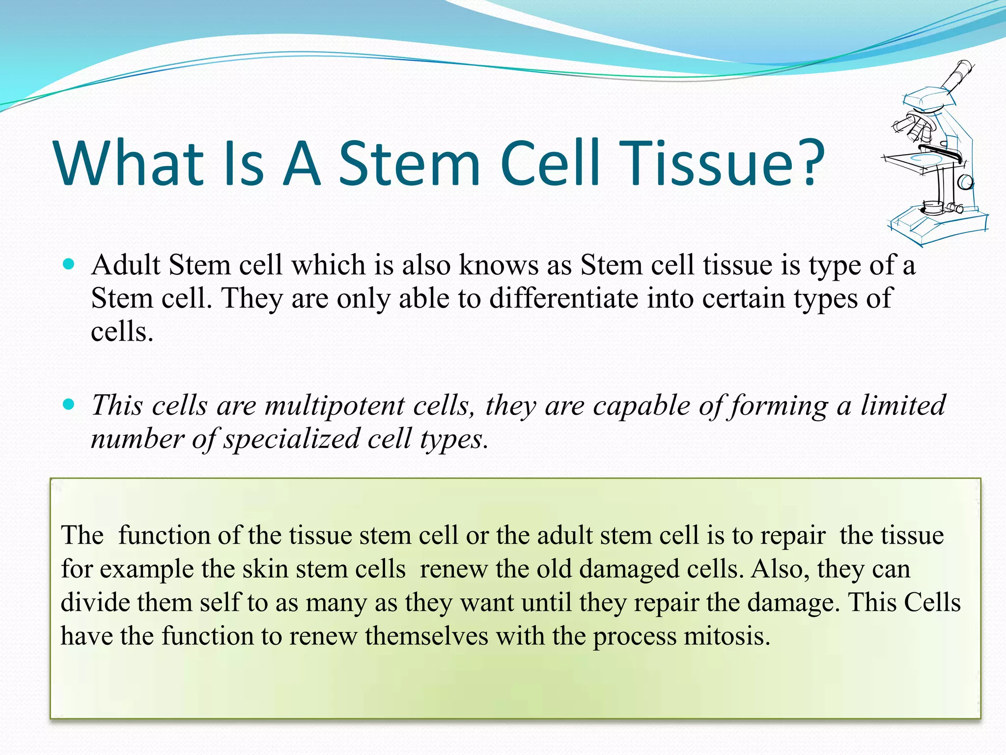 Stem cell tisue final version | PPT