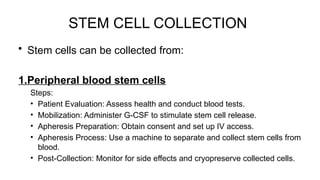 HEMATOPOIETIC STEM CELL TRANSPLANTATION PP.pptx