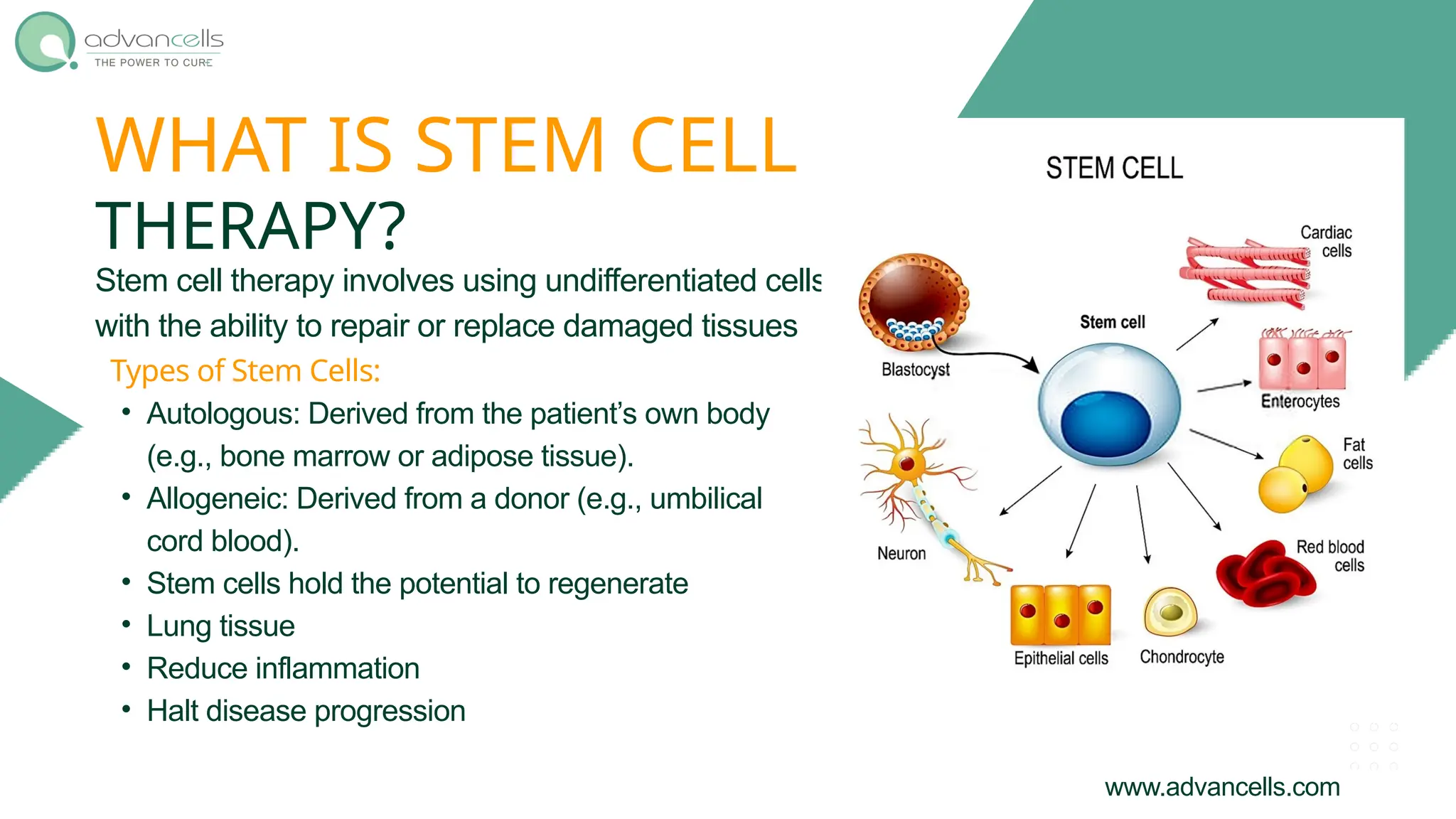 Stem Cell Treatment Options for COPD and Pulmonary Fibrosis in India | PPTX