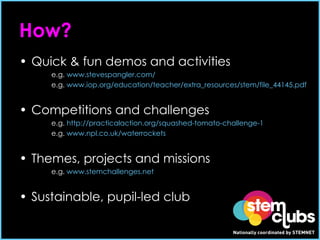 STEM Clubs in Practice | PPT | Education