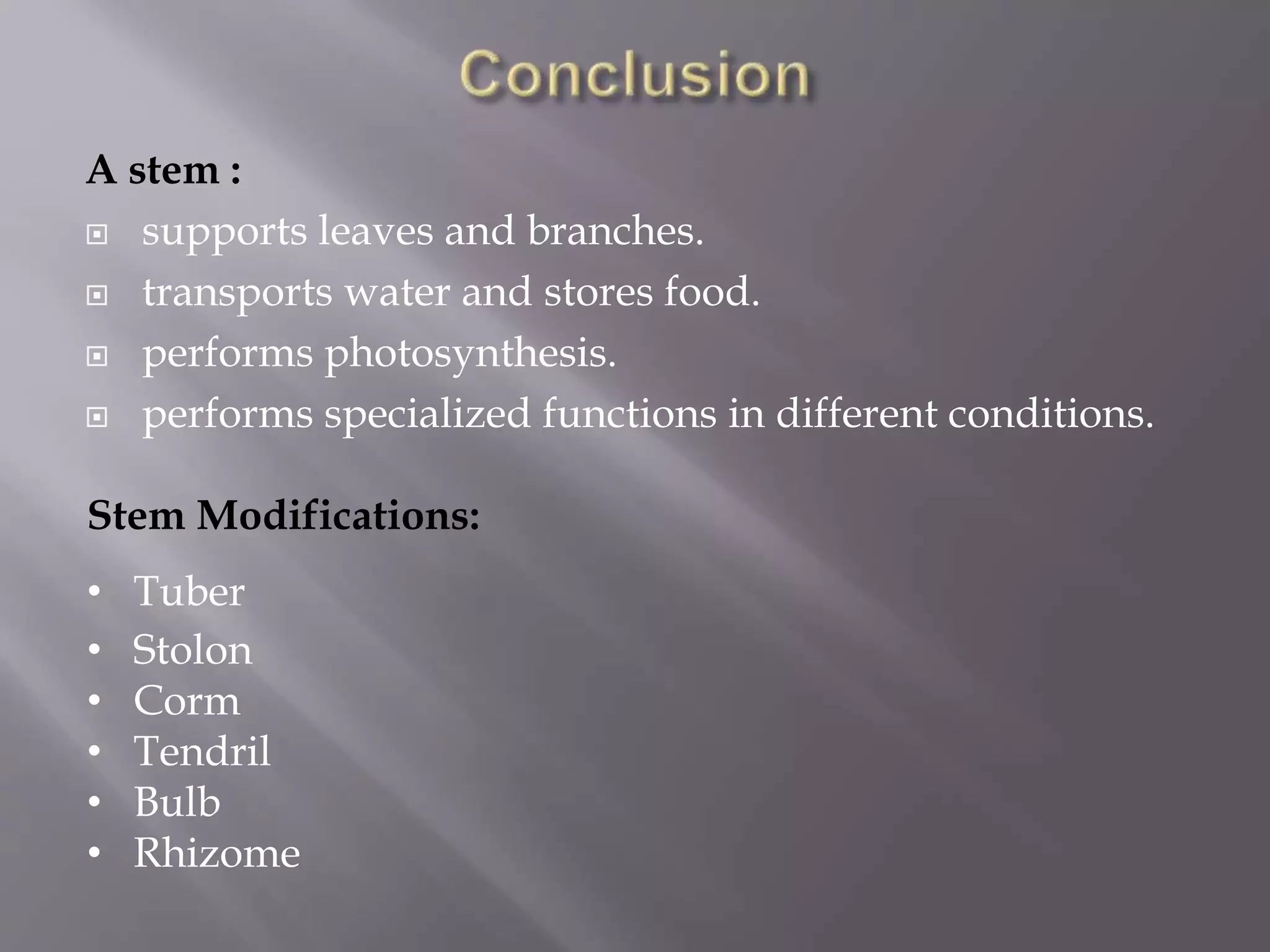 Stem Functions And Its Modifications Pptx Gardening Home And Garden