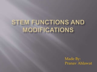 Stem Functions And its modifications | PPTX