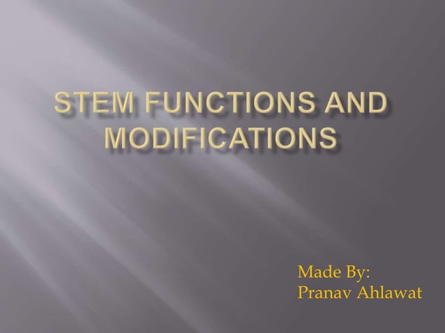 Stem Functions And its modifications | PPTX | Gardening | Home & Garden