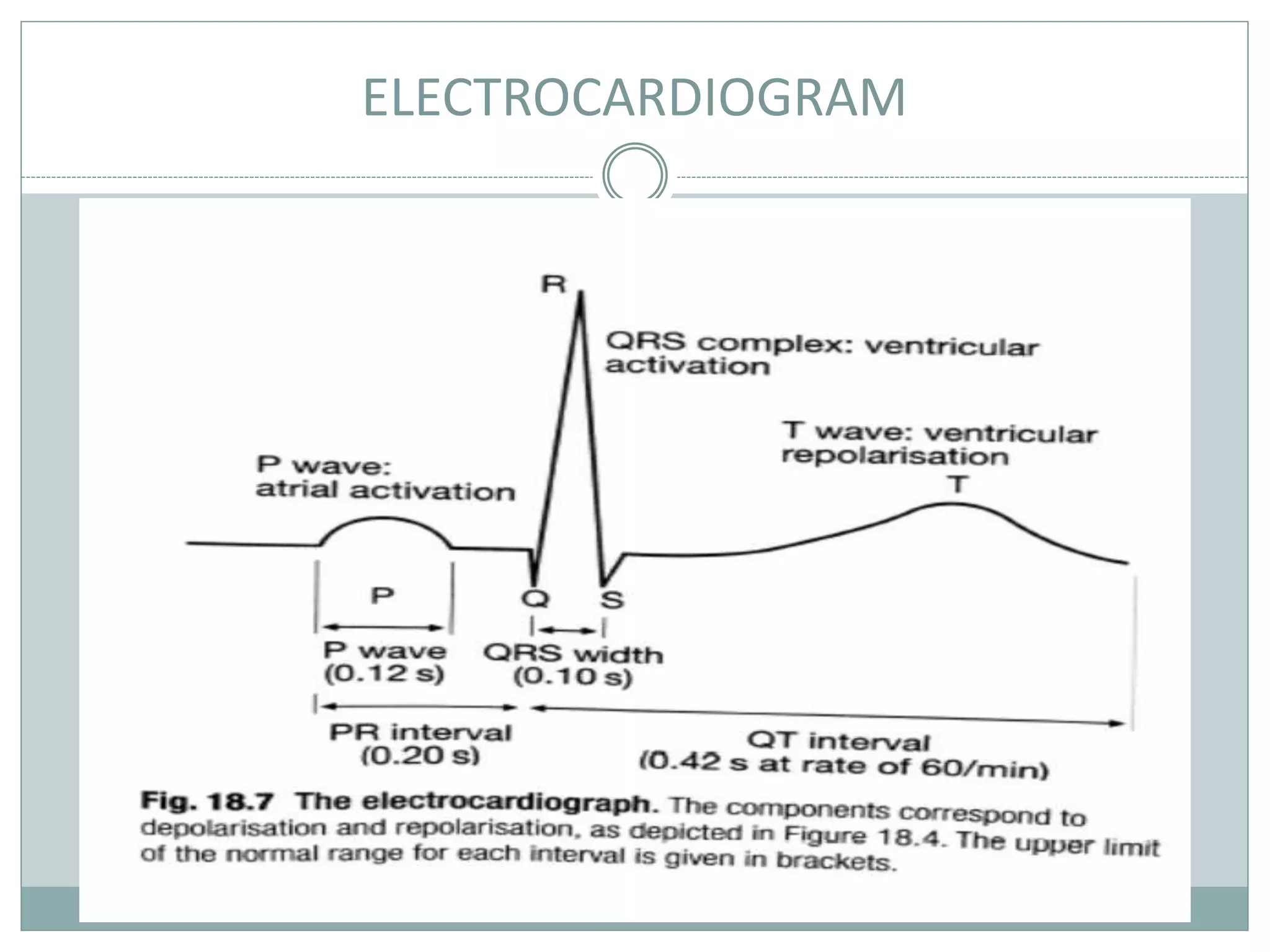 Stemi | PPTX