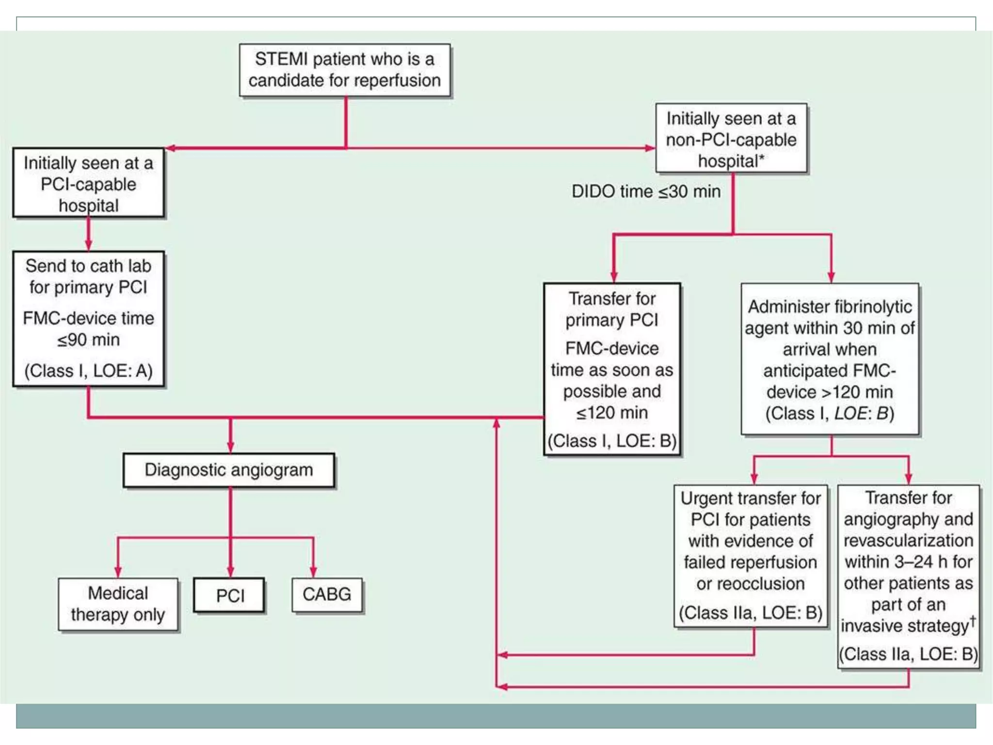 Stemi | PPTX
